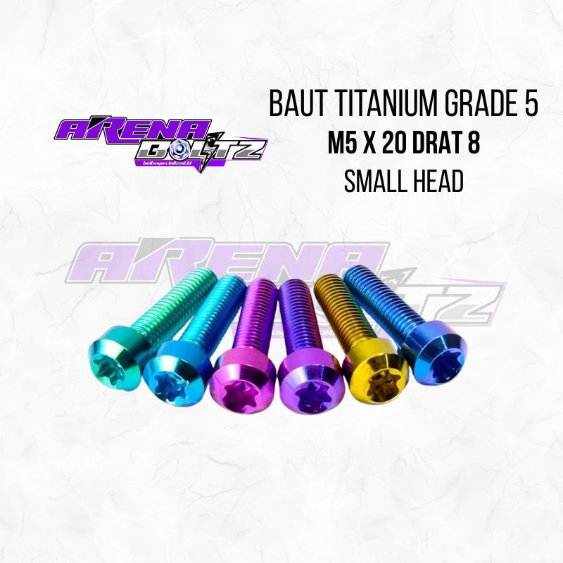 Jual BAUT TITANIUM M6 x 30 Drat 10 Panjang 3CM 30MM SMALL HEAD PROBOLT GR5 Grade 5 Original Made ...