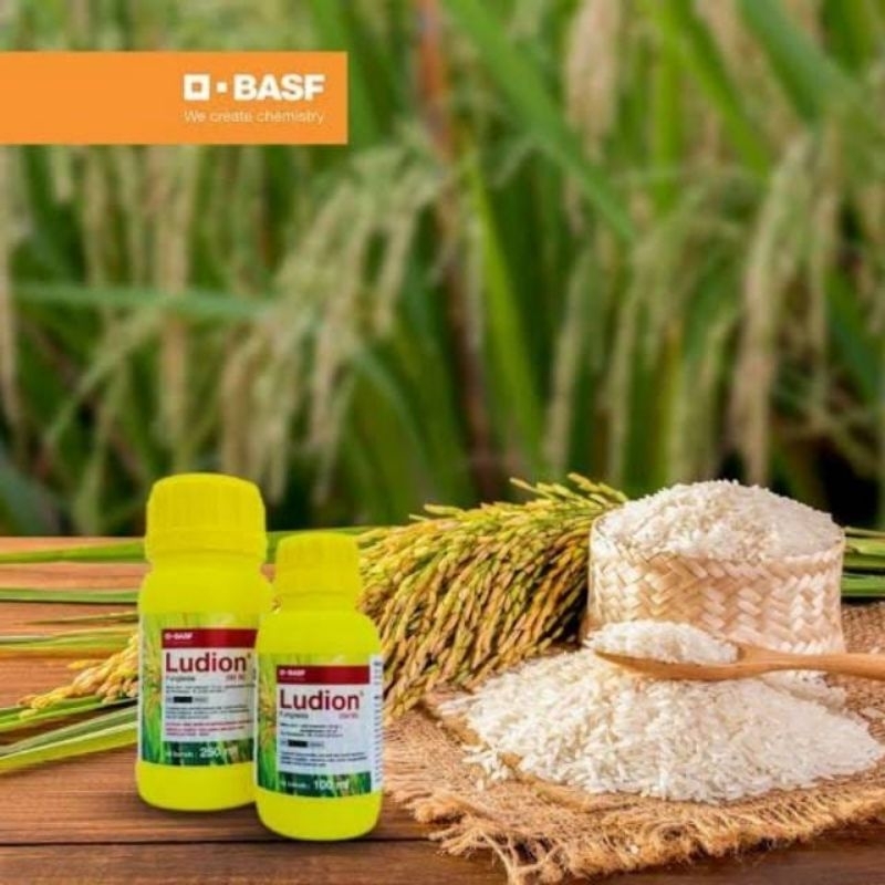 Jual fungisida ludion 250sc 100ml | Shopee Indonesia