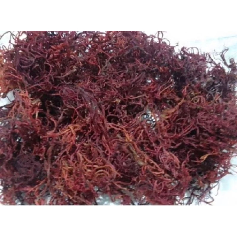 Jual rumput laut merah kering 5kg jenis alga | Shopee Indonesia
