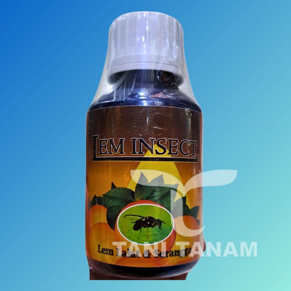 Jual LEM INSECT 75 ML PERANGKAP HAMA LALAT & SERANGGA // LEM INSEK ...