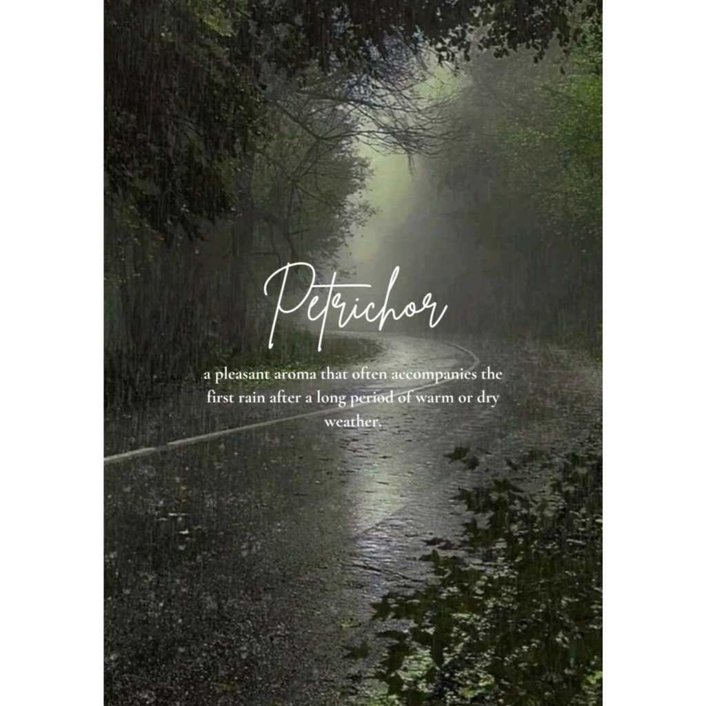 Jual Wall Decor Poster "Petrichor" – Aroma Hujan Pertama | Aesthetic ...