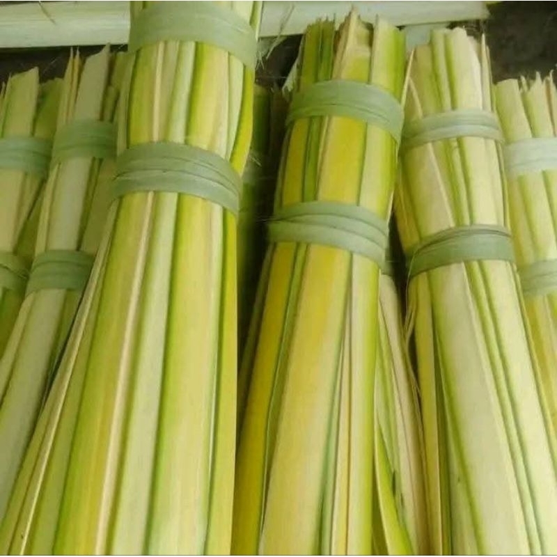 Jual Promo 100 Pcs Janur Kuning Daun Kelapa Muda Untuk Bahan Ketupat ...