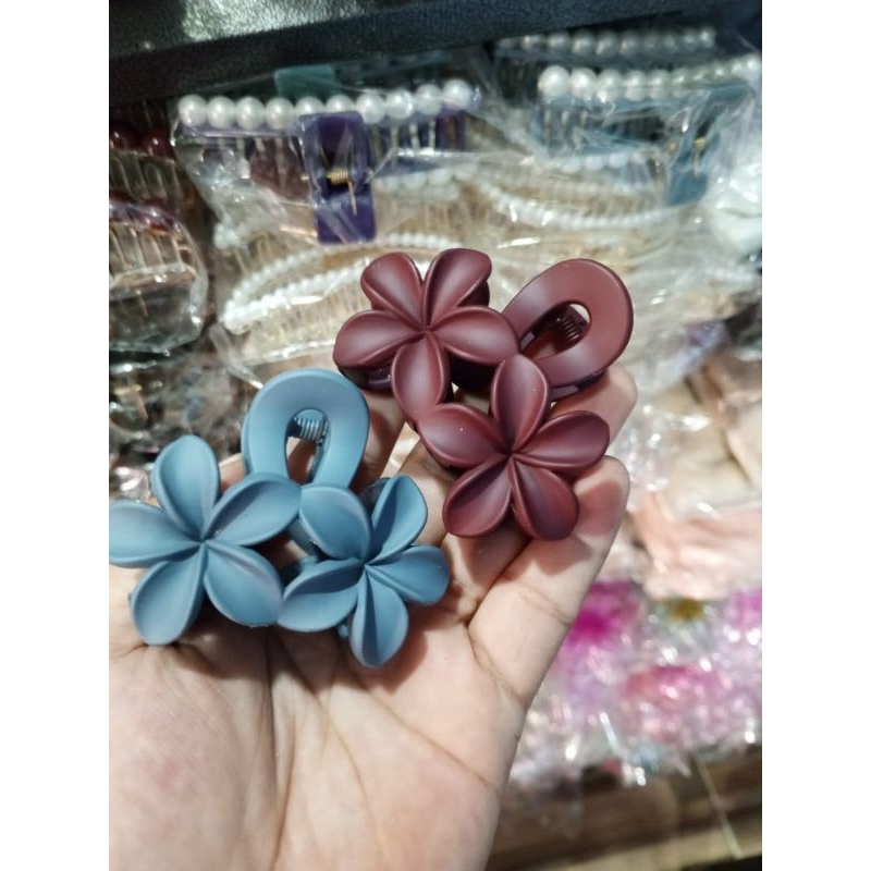 Jual (12pcs) Jepitan Rambut Import 2 Bunga Kamboja Warna Doft Ukuran ...