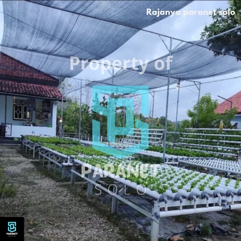 Jual Paranet 75% 10x3m – Jaring Tanaman, Atap Kolam, Anti UV, Full HDPE ...