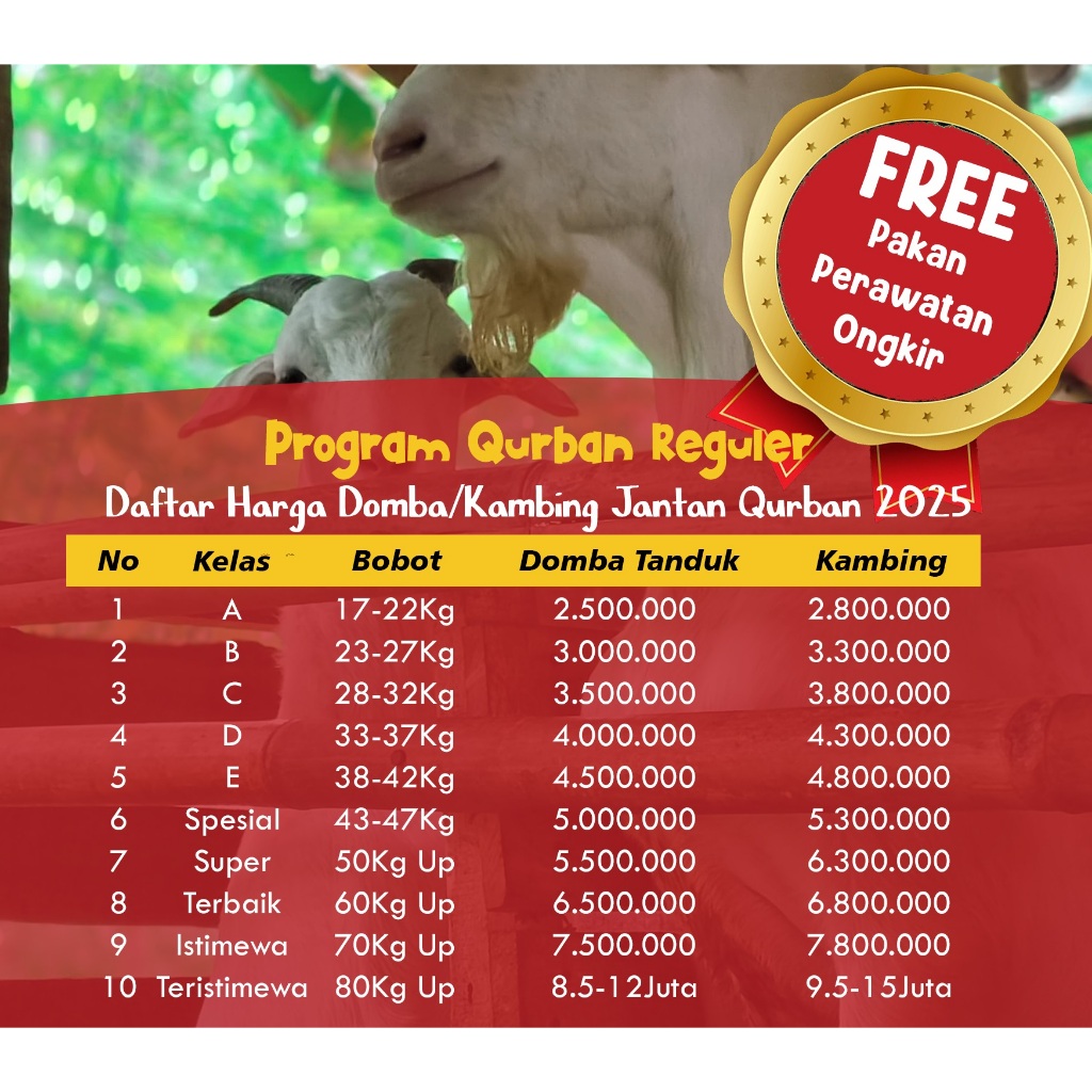 Jual Qurban Domba Kambing Jantan Dikirim Hidup Jabodetabek Semua Bisa ...