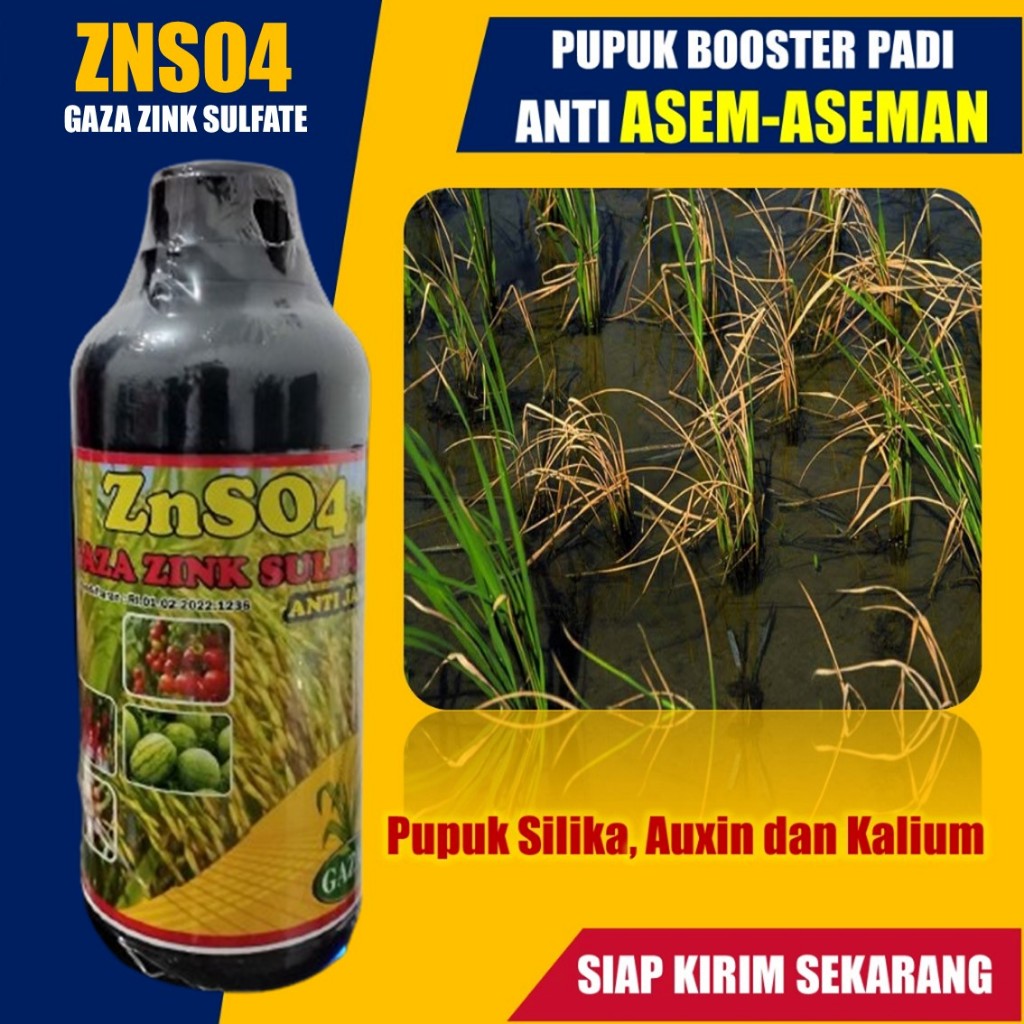 Jual PUPUK PADI Anti Asam-asaman ZNSO4 GAZA ZINK SULFATE isi 500 ML - Obat Pelebat Tanaman Padi ...