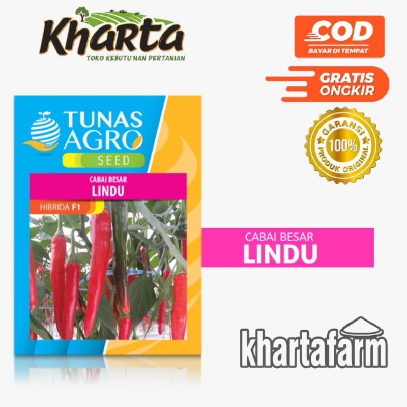 Jual LINDU CABAI BESAR HC TUNAS AGRO EXP 2026 | Shopee Indonesia