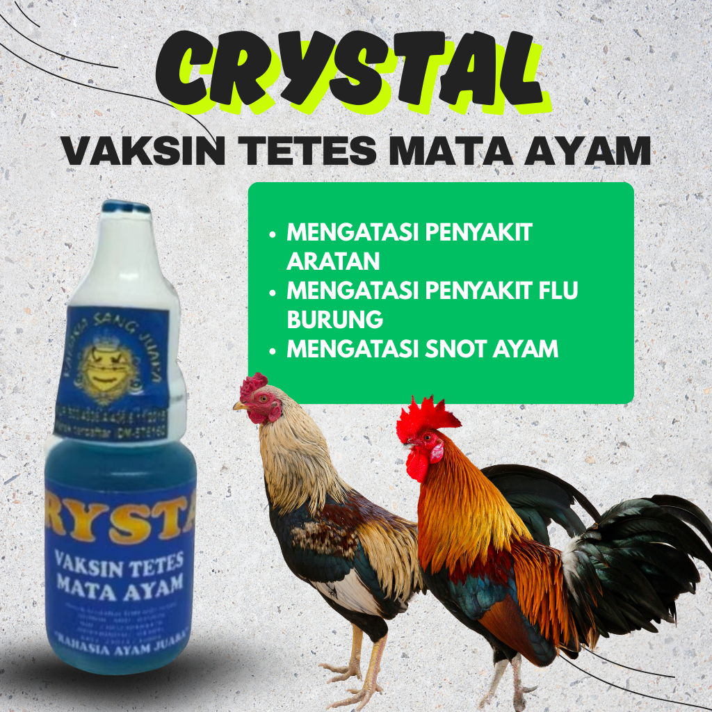 Jual VAKSIN TETES MATA AYAM 15 ML | Shopee Indonesia