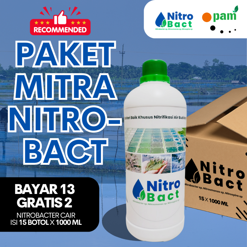 Jual Nitrobact - Nitrifikasi Kolam Ikan dan Udang (Nitrobacter ...