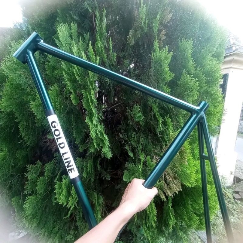 Jual frame fixie goldline alfa v1 hijau metalik | Shopee Indonesia
