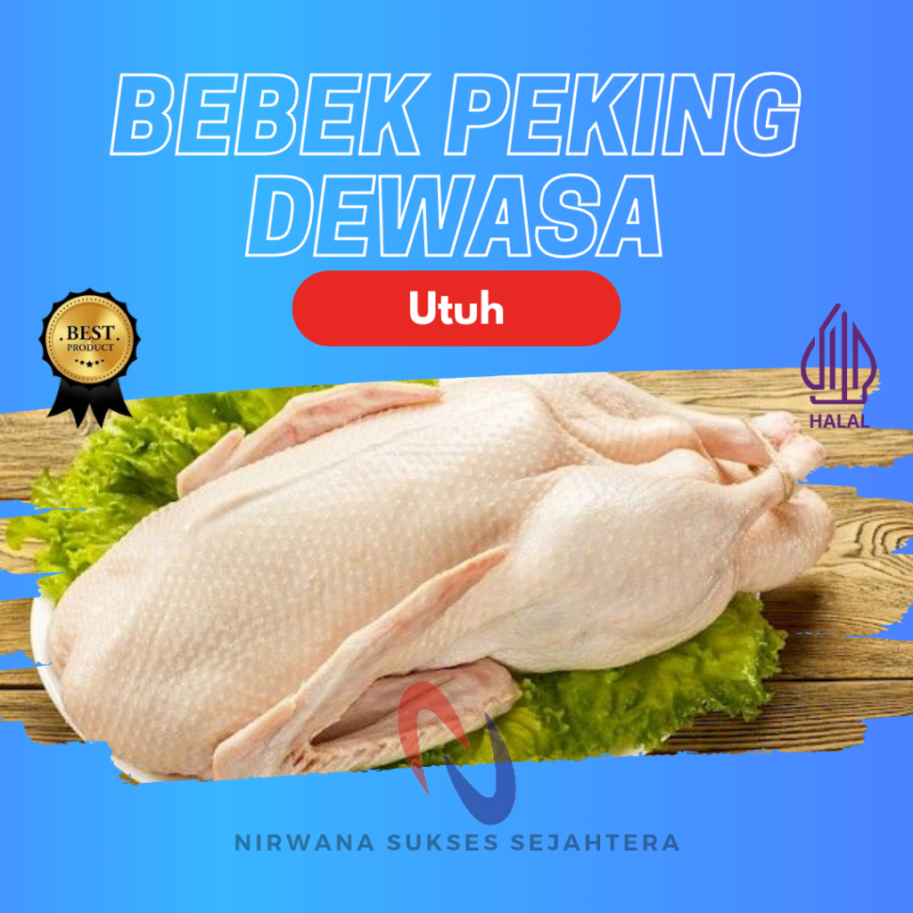 Jual BEBEK PEKING DEWASA UTUH / WHOLE PEKING FULL DUCK | Shopee Indonesia