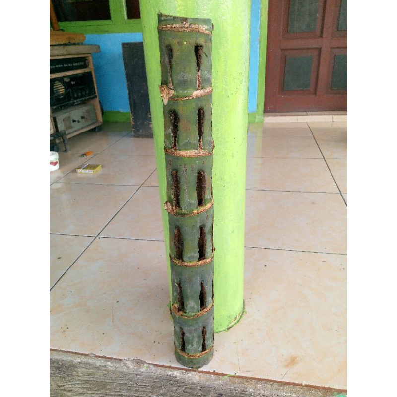 Jual nambu unik combong tembus bambu andong | Shopee Indonesia