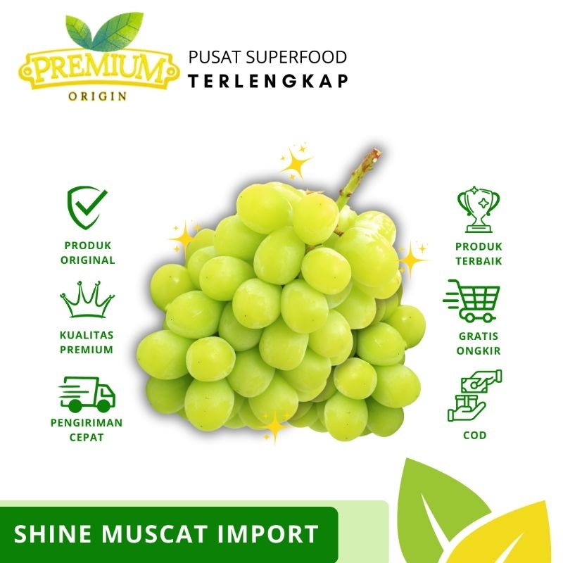 Jual FRESH Anggur Shine Muscat Hijau 350 gram | Premium Shine Muscat ...