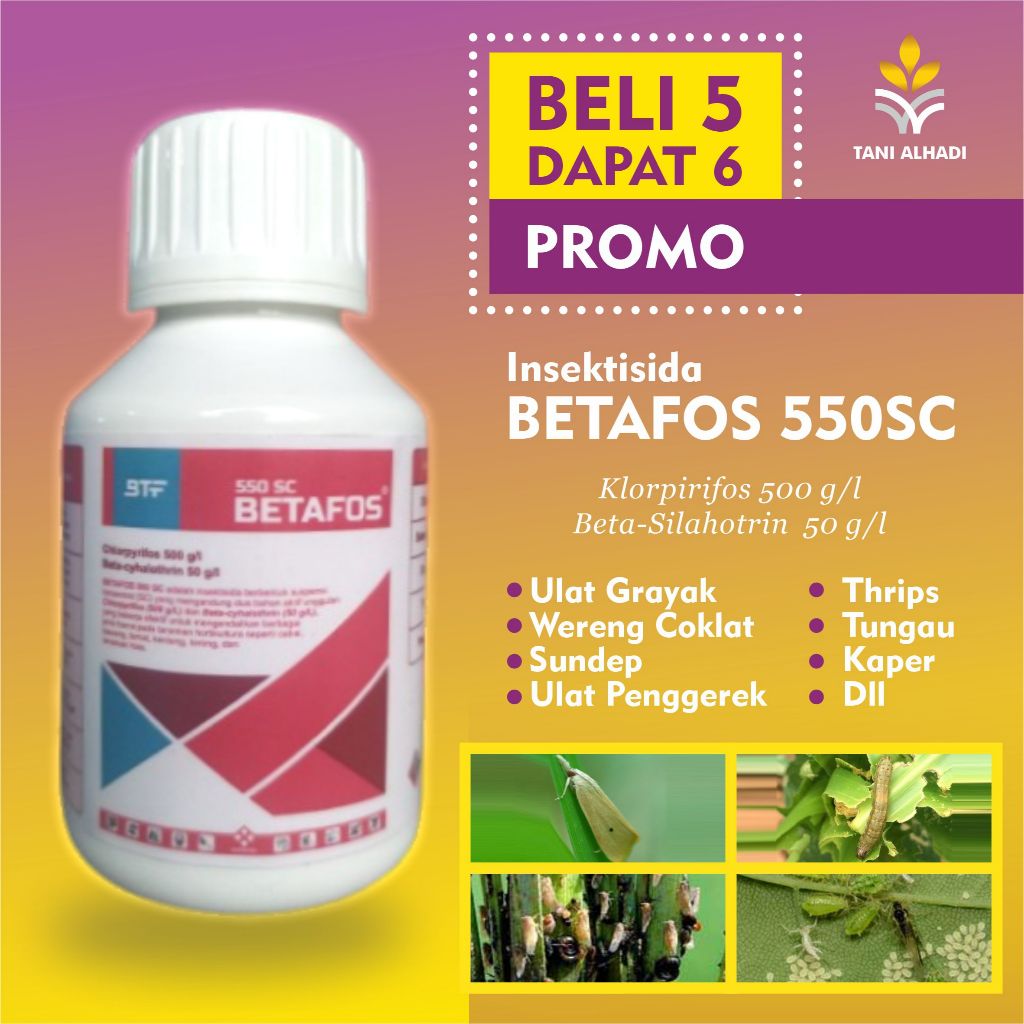 Jual BETAFOS 550SC 100ml - Insektisida Klorpirifos & Beta sihalotrin ...