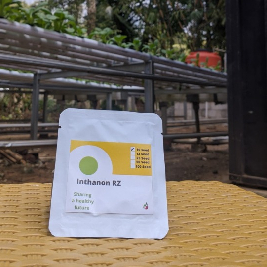 Jual Benih melon inthanon / inthanon rz ( Repack ) | Shopee Indonesia