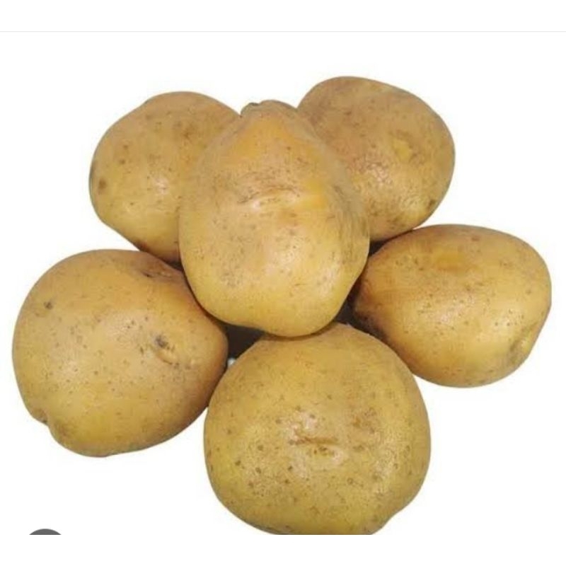 Jual Kentang Segar Super Kiloan ukuran sedang | Shopee Indonesia