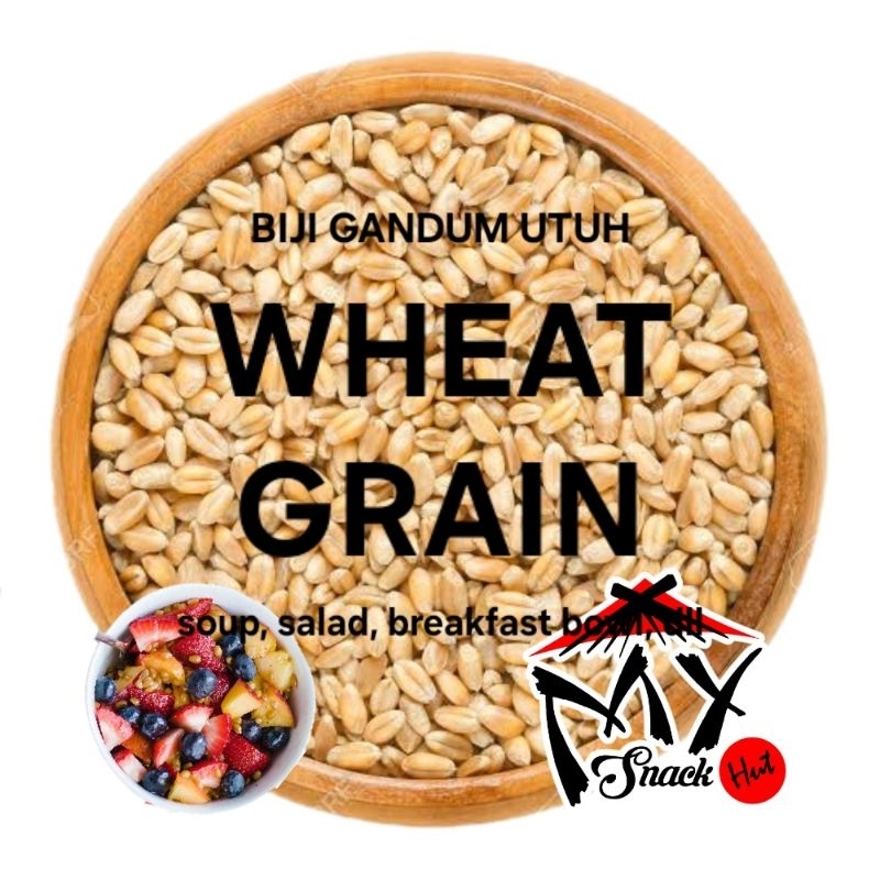 Jual WHEAT GRAIN 250GR BIJI BERAS GANDUM UTUH BERRY BERRIES FOOD GRADE ...