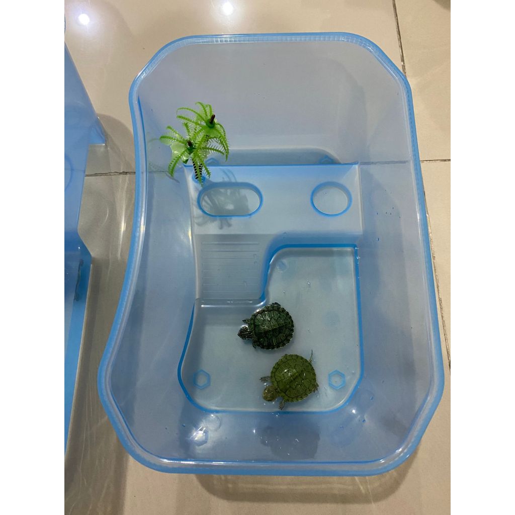 Jual Kandang kura brazil tank akuarium vivarium ember kandang rumah bak tempat kura kura air ...