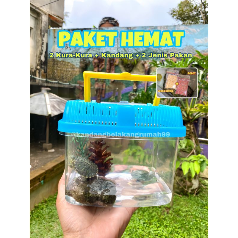 Jual Paket Kura-Kura Kandang Kura-Kura Aquarium Kura-Kura Paket Terarium Kura-Kura Murah Pakan ...