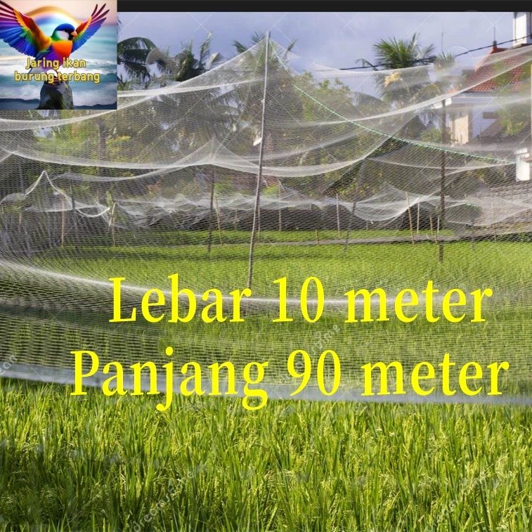 Jual Jaring burung, jaring padi, jaring emprit, jaring sawah bonus tali ...