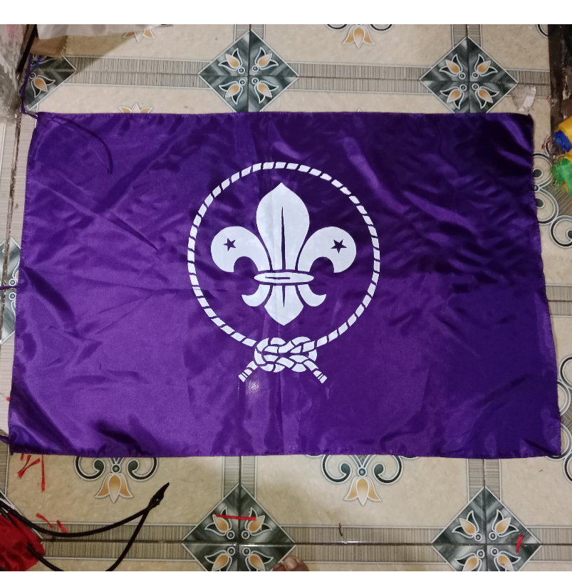 Jual Bendera Tunas Pandu Pramuka Bendera Bendera WOSM Pramuka 60 CM X ...