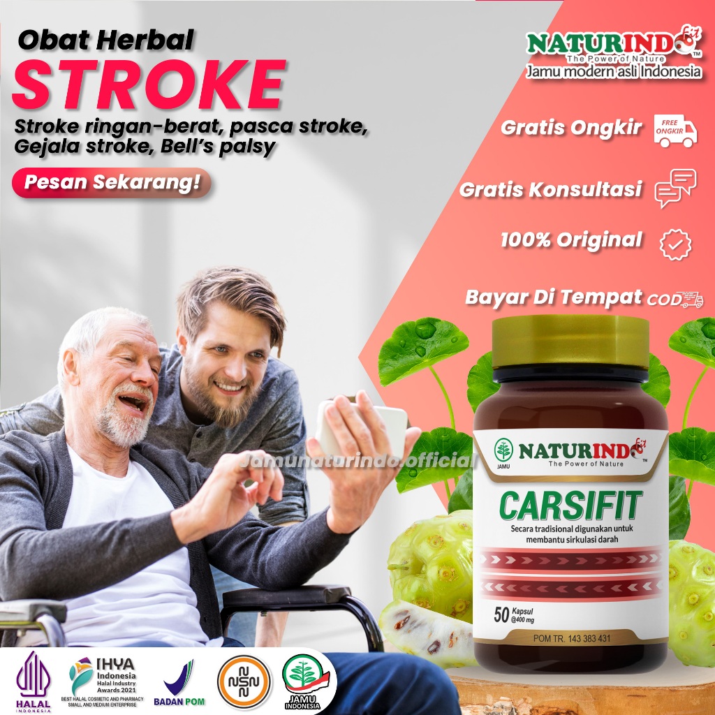 Jual Obat Stroke Struk Saraf Herbal Strok Ringan Lumpuh Bells Palsy ...