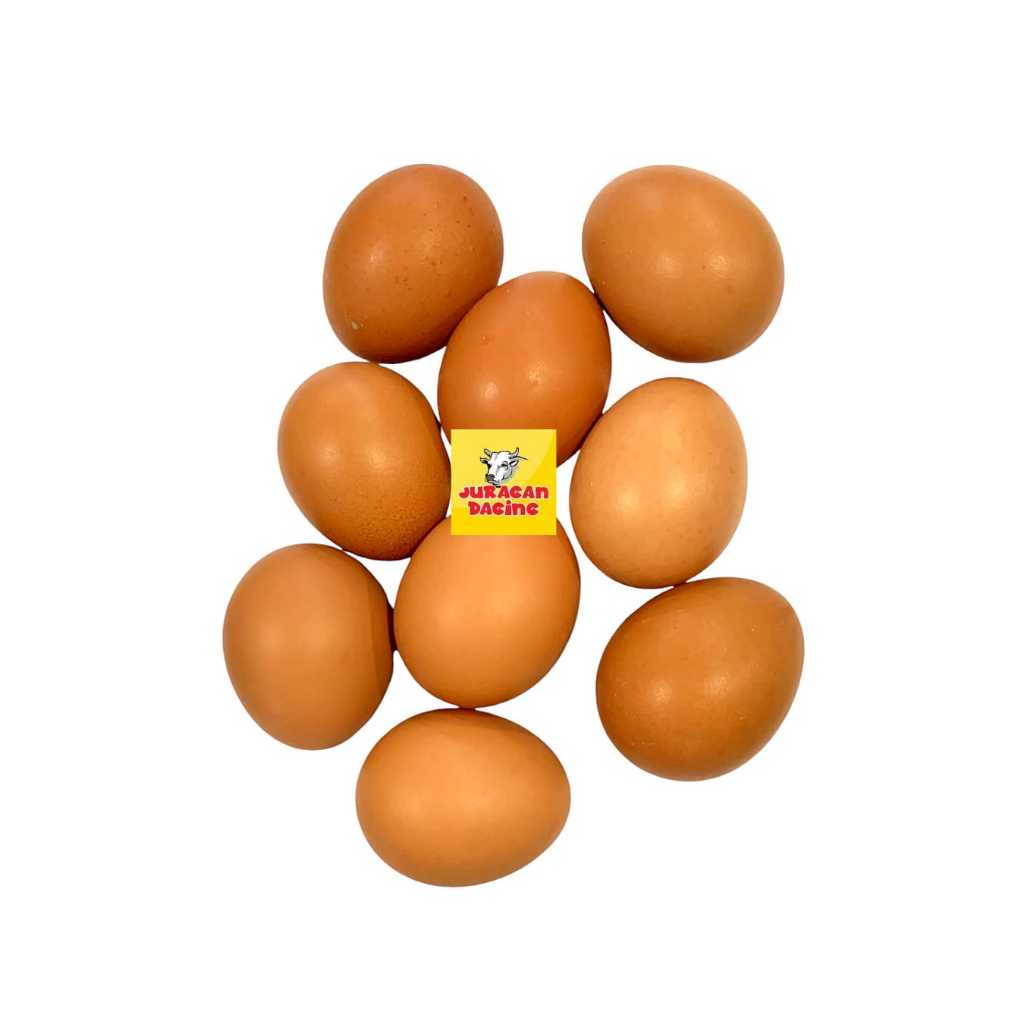 Jual Telur Ayam Negeri Fresh isi 10 Butir | Shopee Indonesia