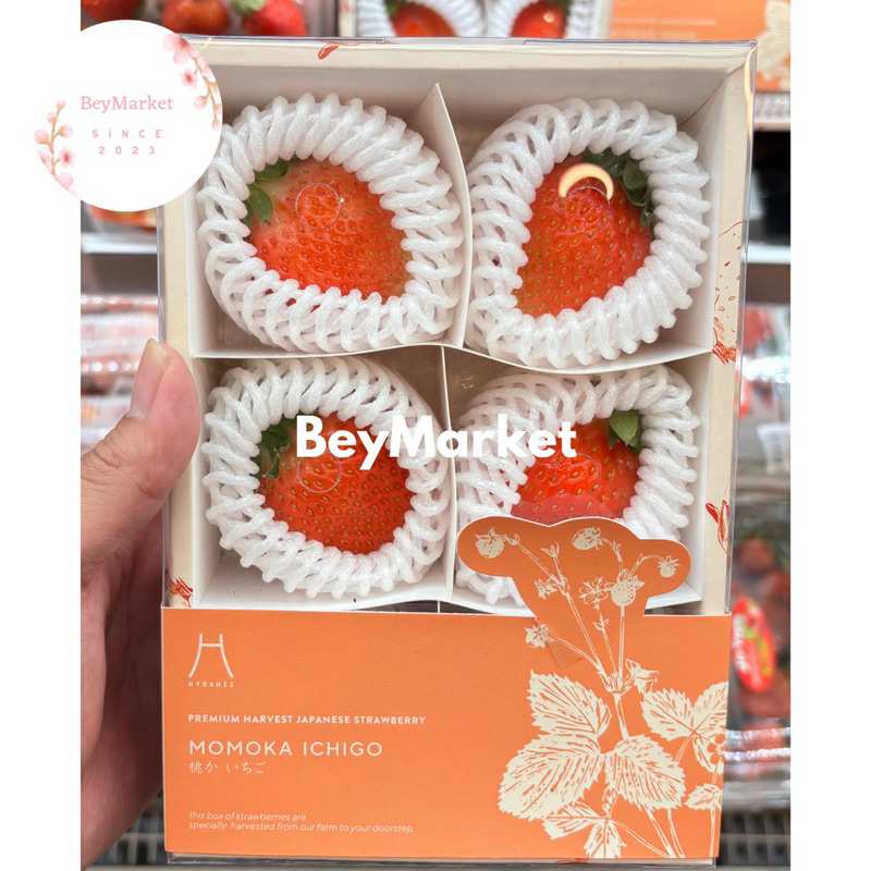 Jual Strawberry Jepang Momoka Ichigo | Strawberry Varietas Jepang ...