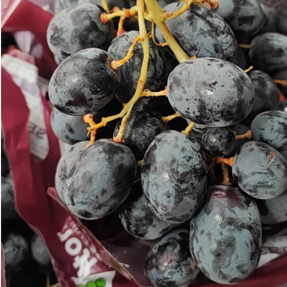 Jual angggur hitam autum seedless (tanpa biji) | Shopee Indonesia