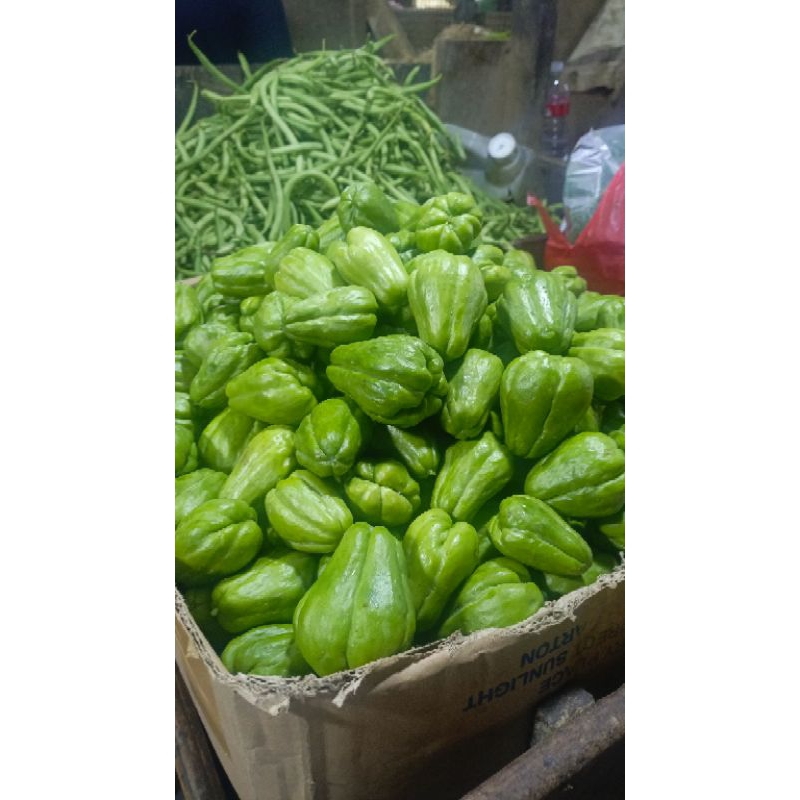 Jual Labu siam Baby kecil Segar 1kg | Shopee Indonesia