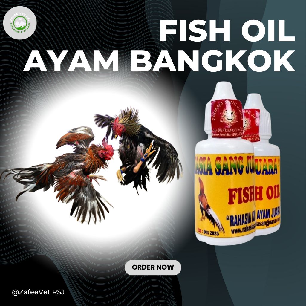 Jual RAHASIA AYAM JUARA MINYAK IKAN (FISH OIL) UNTUK AYAM BANGKOK ADUAN ...