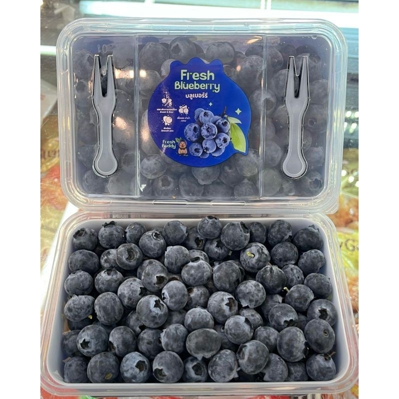 Jual Buah Blueberry RRC Fresh Buddy Per Pack | Shopee Indonesia