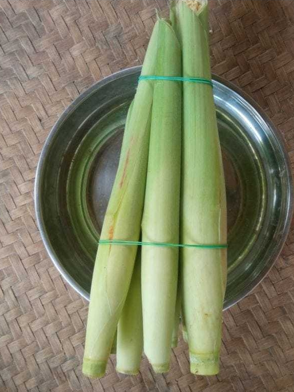 Jual TERUBUS TELUR TEBU TERUBUK 1KG | Shopee Indonesia