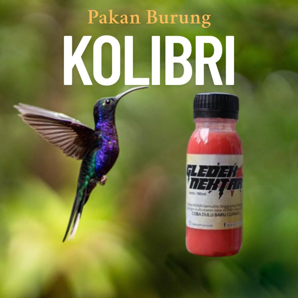 Jual GLEDEK Nektar Original 100ML Bird Food for Nectar Lovers | Shopee ...