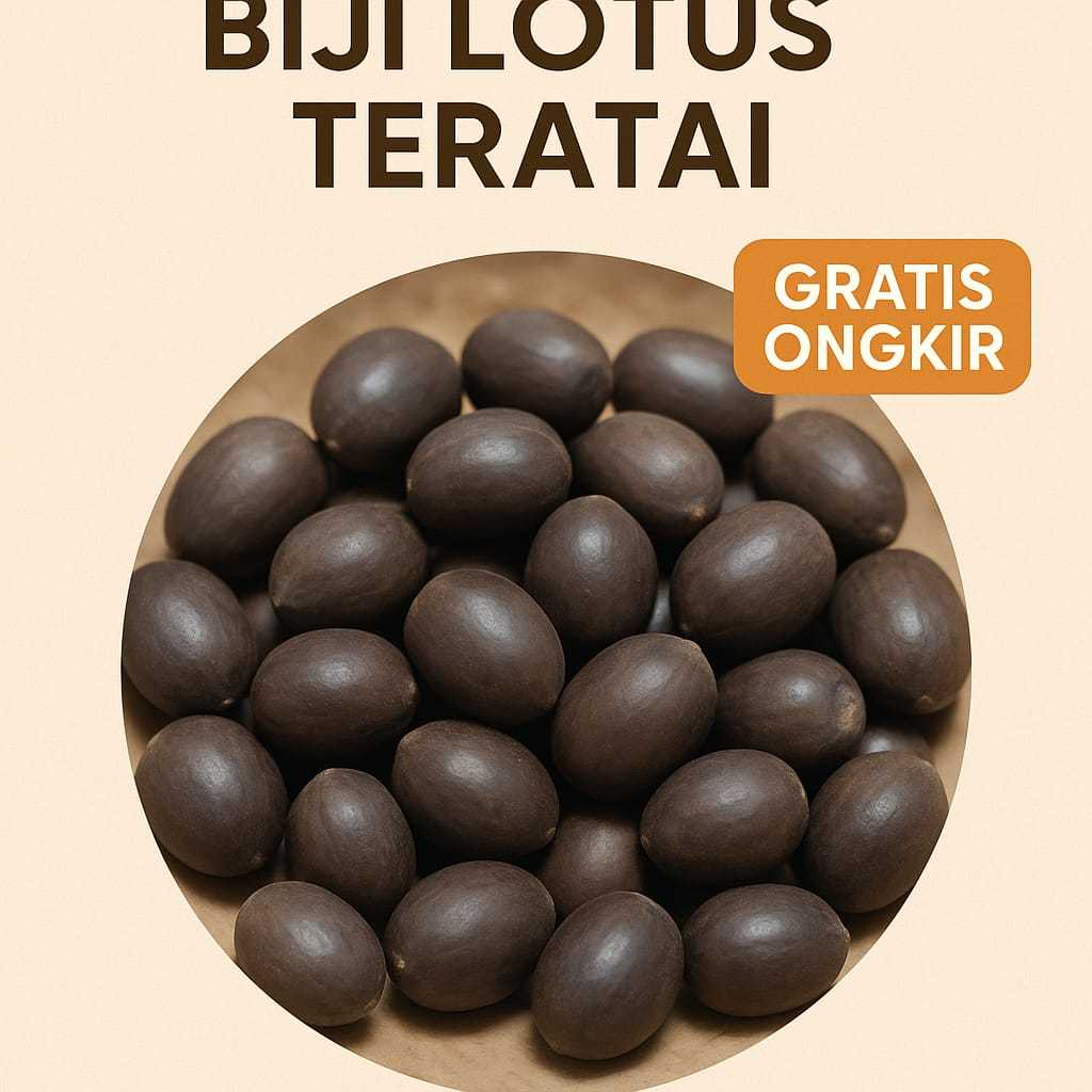 Jual Biji Teratai Jepang Biji Benih Teratai Lotus Mini Biji Bunga ...