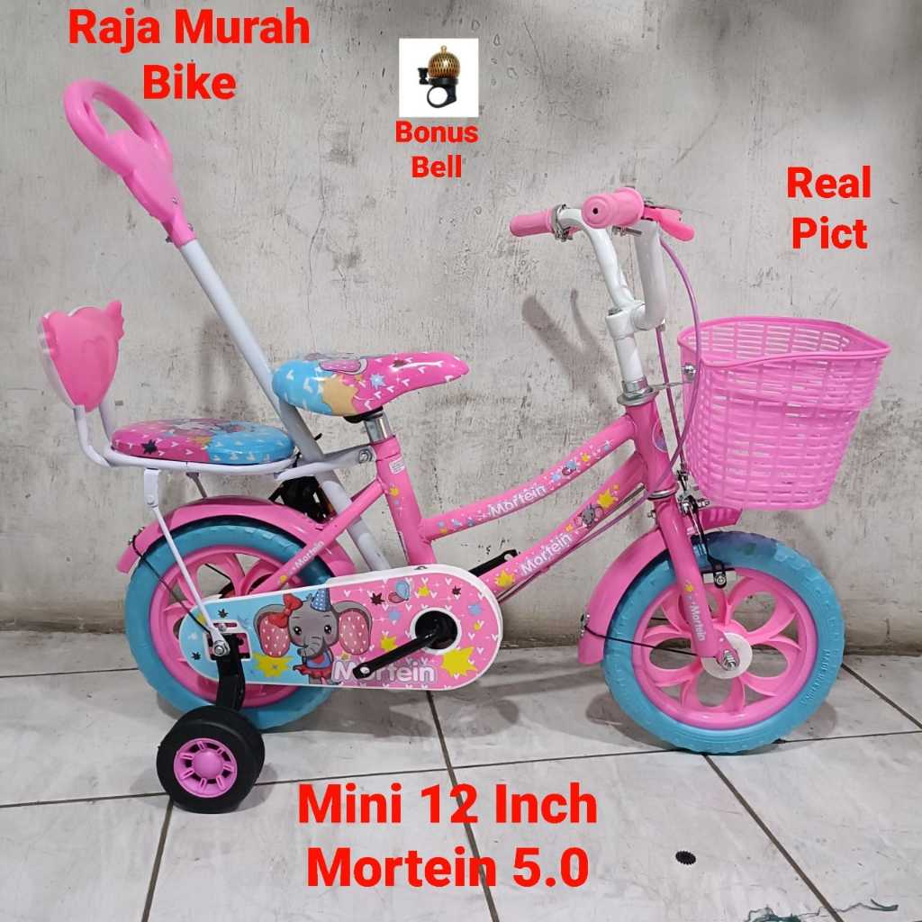 Jual Sepeda Anak Perempuan Stir Mini 12 Inch Mortein 5.0 PMB Sepeda ...