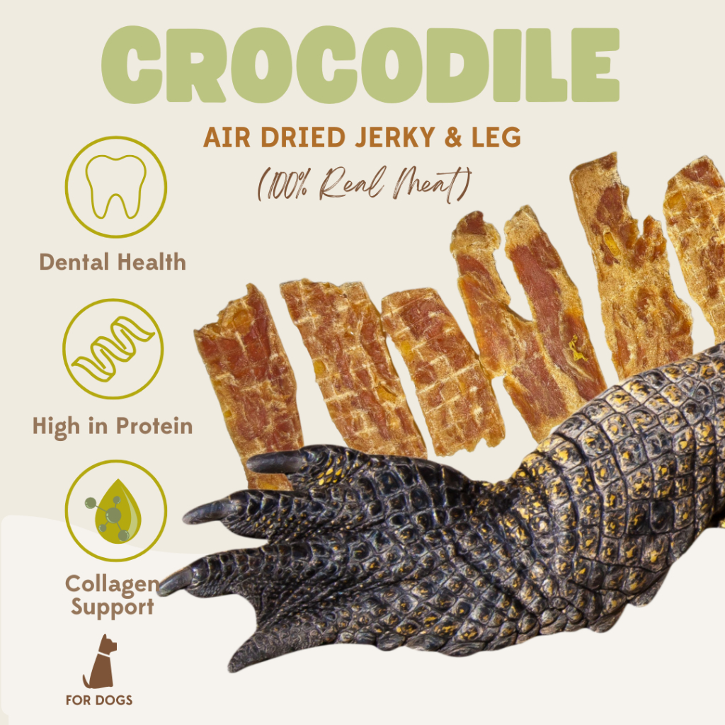 Jual DrToots CROCODILE LEG Chew | Hypoallergenic Natural Air Dried ...
