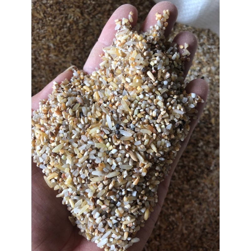 Jual beras menir pakan ayam pakan ternak beras batik pakan ayam ...