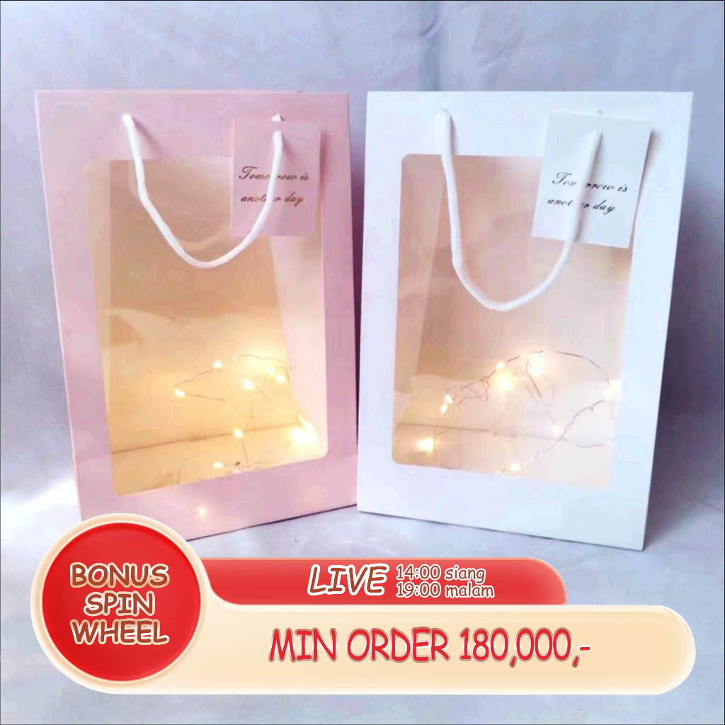 Jual Paper Bag Untuk Souvenir Boneka Bunga Dan Hadiah Bonus Lampu Led 1 ...