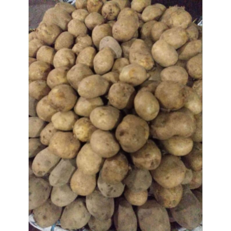 Jual kentang deing ab berat 1kg | Shopee Indonesia