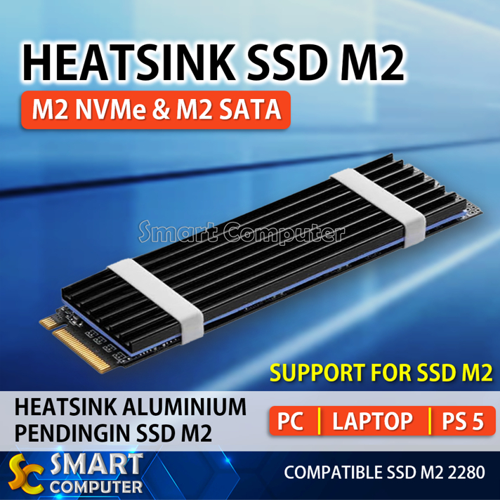 Jual Heatsink SSD M2 NVMe M2 Sata NGFF Thermal Pad Pendingin SSD M.2 ...