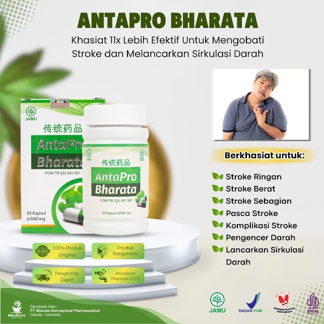 Jual Obat Stroke Herbal Premium Obat Stroke Ringan Berat Kolesterol ...