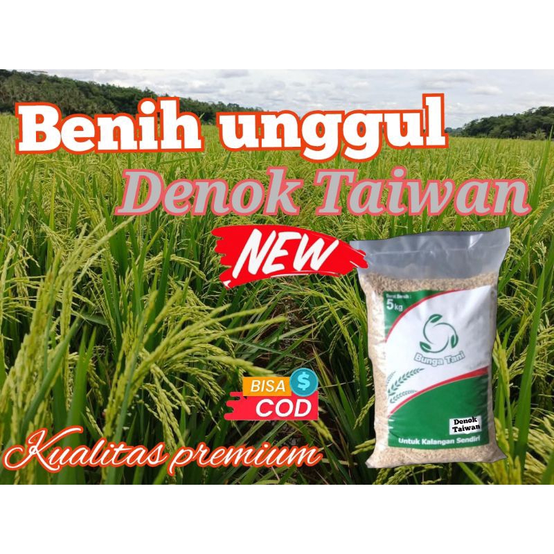 Jual BENIH PADI UNGGUL DENOK TAIWAN 5KG | Shopee Indonesia