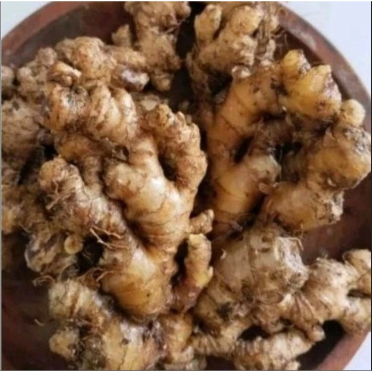 Jual Jahe Emprit Cuci Super 1kg / Jahe Emprit / Jahe Emprit Lokal ...
