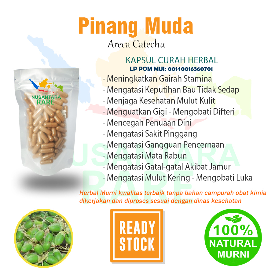 Jual PINANG MUDA 100 Kapsul Herbal Stamina Pria | Shopee Indonesia