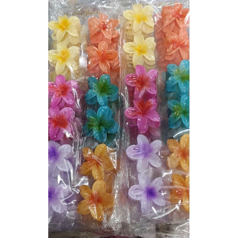 Jual KODE N76Q Jepit Rambut Jedai KAMBOJA Jumbo Warna isi 8 cm 12 pcs | Shopee Indonesia