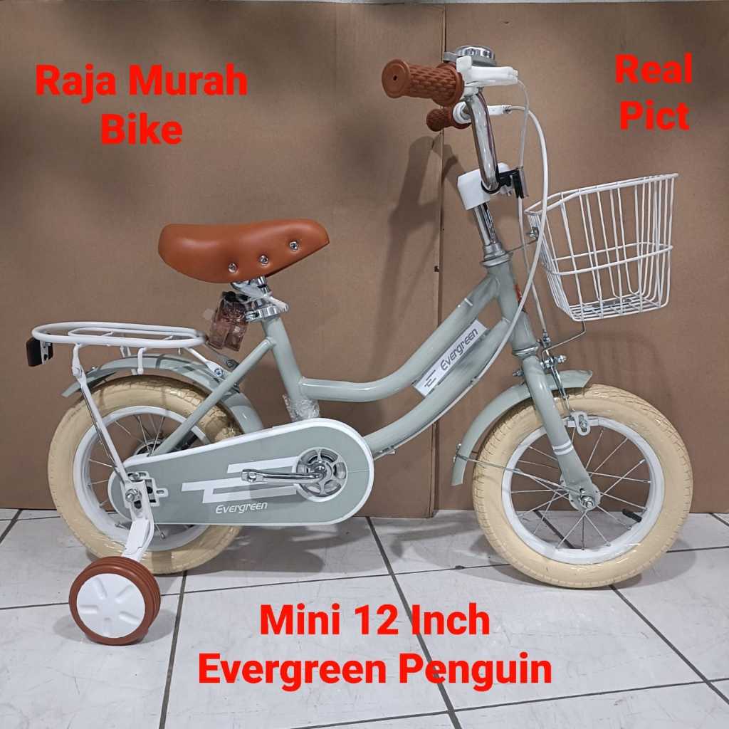 Jual Sepeda Anak Perempuan Mini 12 Inch Evergreen Penguin Sepeda Anak ...