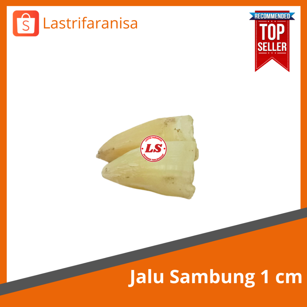 Jual JALU SAMBUNG 1 CM Jalu Sambung Ayam Taji Ayam Asli | Shopee Indonesia