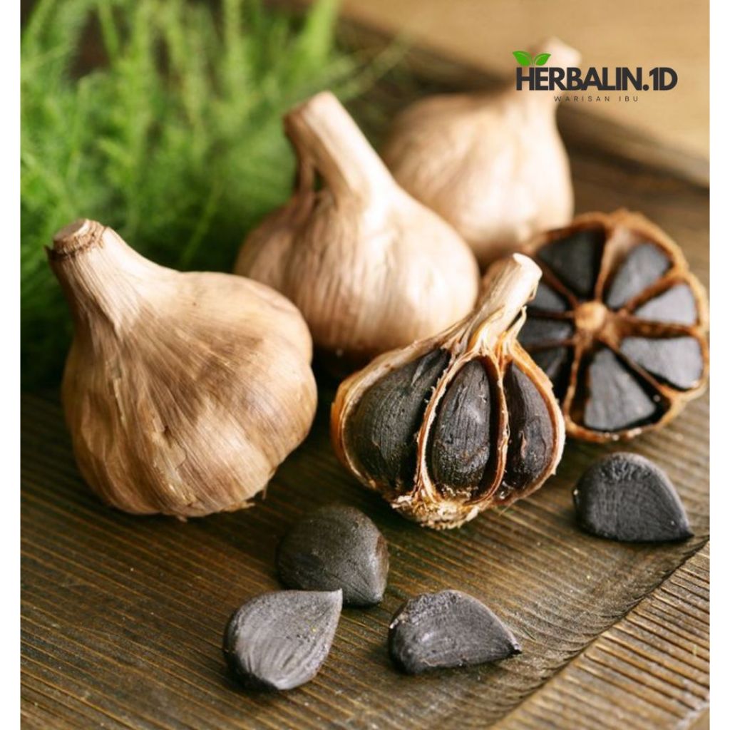 Jual Black Garlic Kating 100gram / Bawang Hitam Kating Bawang Herbal ...