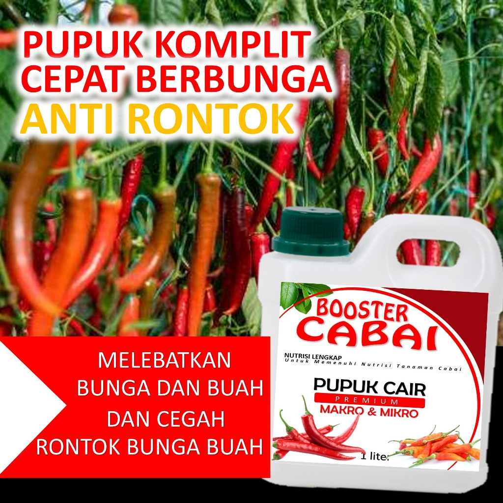 Jual Pupuk Booster 1 liter Pelebat Buah Cabe Cair Penyubur Cabai agar Cepat Berbuah Lebat Anti ...